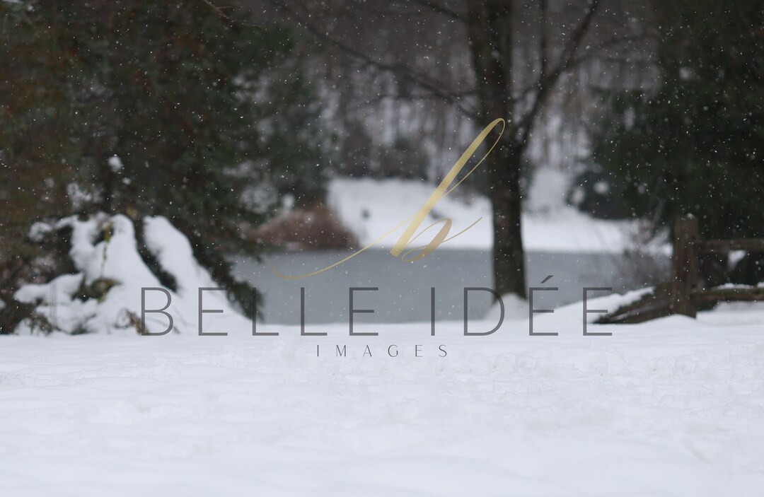 Snowy Winter Pond Scene Digital Photo Background - Etsy