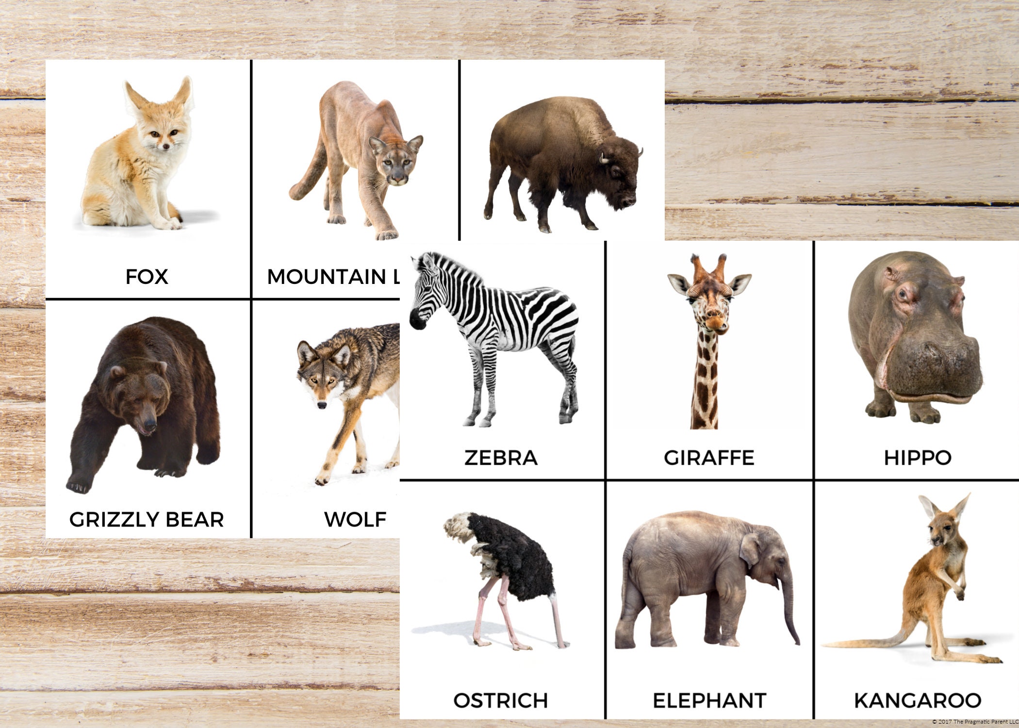49 Animal 3-part Montessori Cards, Animal Cards for Kids, Animal Cards ...