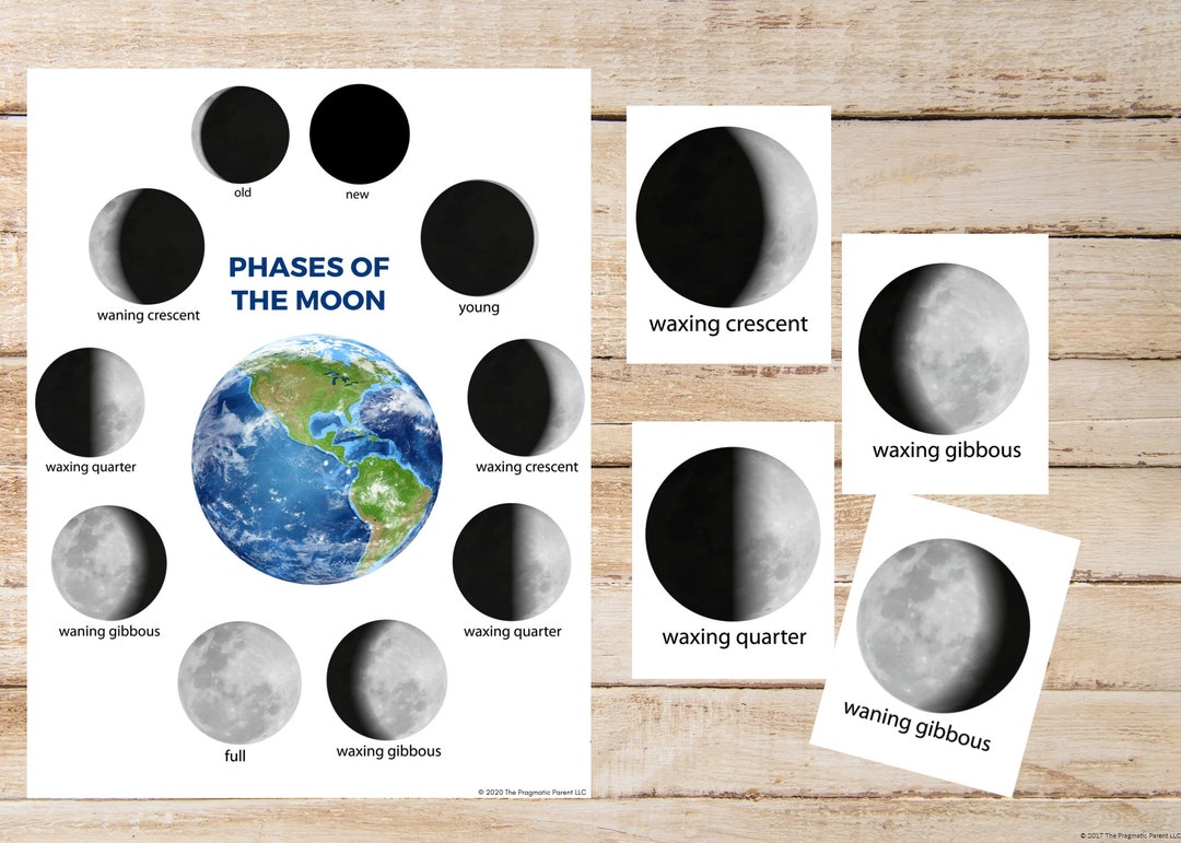 Phases of the Moon Flashcards, Moon Phases Printable Flash Cards, Moon ...