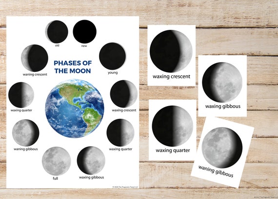 Fases De La Luna Para Niños Imprimibles