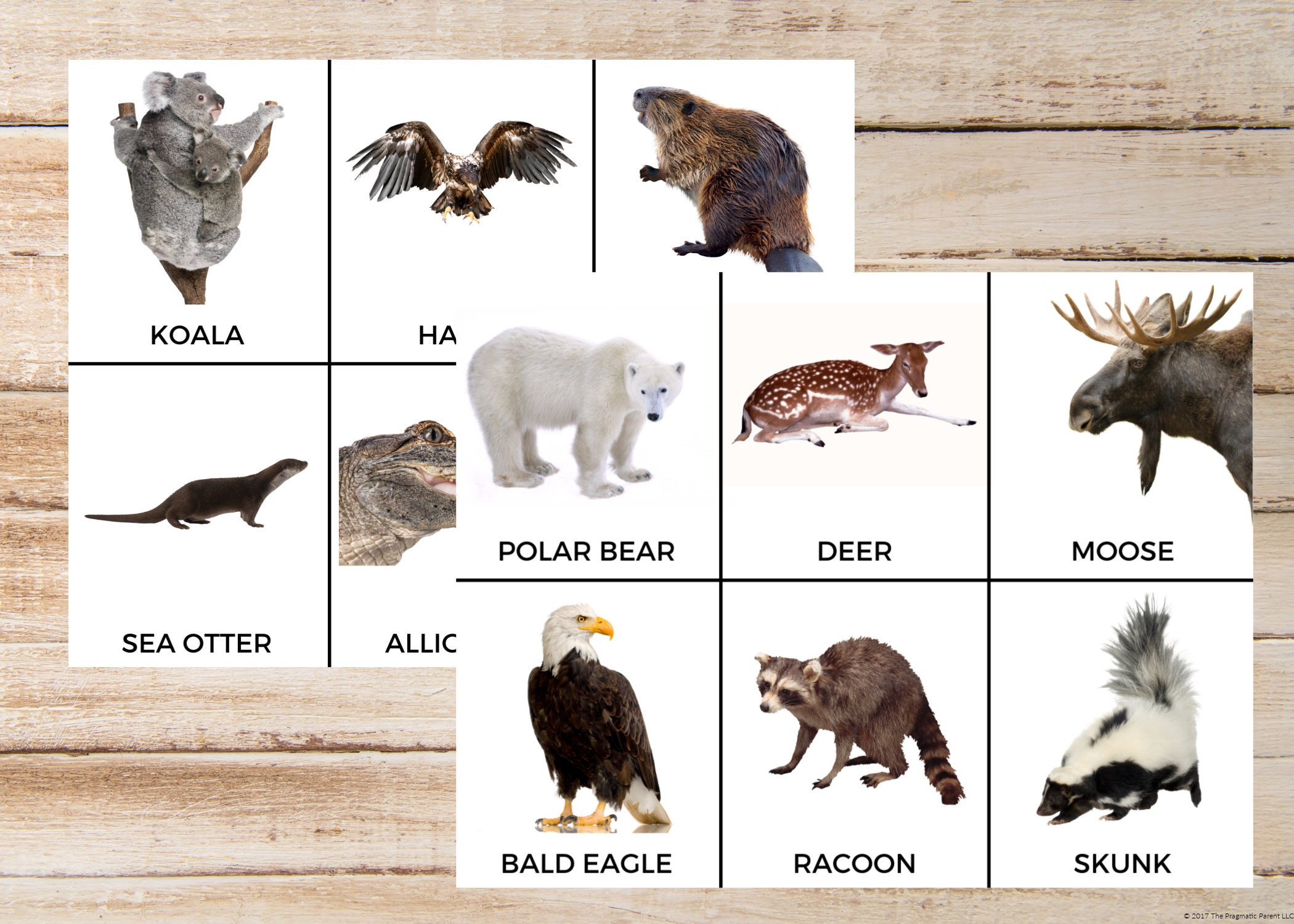 49 Animal 3-part Montessori Cards, Animal Cards for Kids, Animal Cards ...