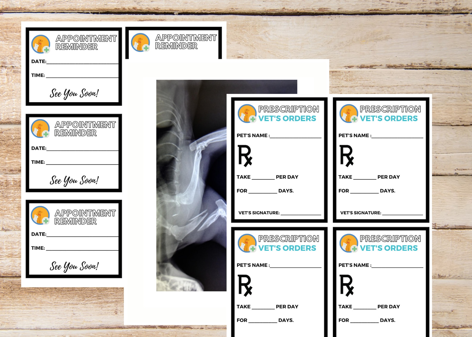 Veterinarian Doctor Kit, Pretend Play Vet, Pretend Vet, Kids Pretend ...