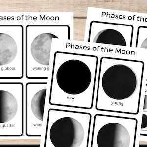 Phases of the Moon Flashcards, Moon Phases Printable Flash Cards, Moon ...