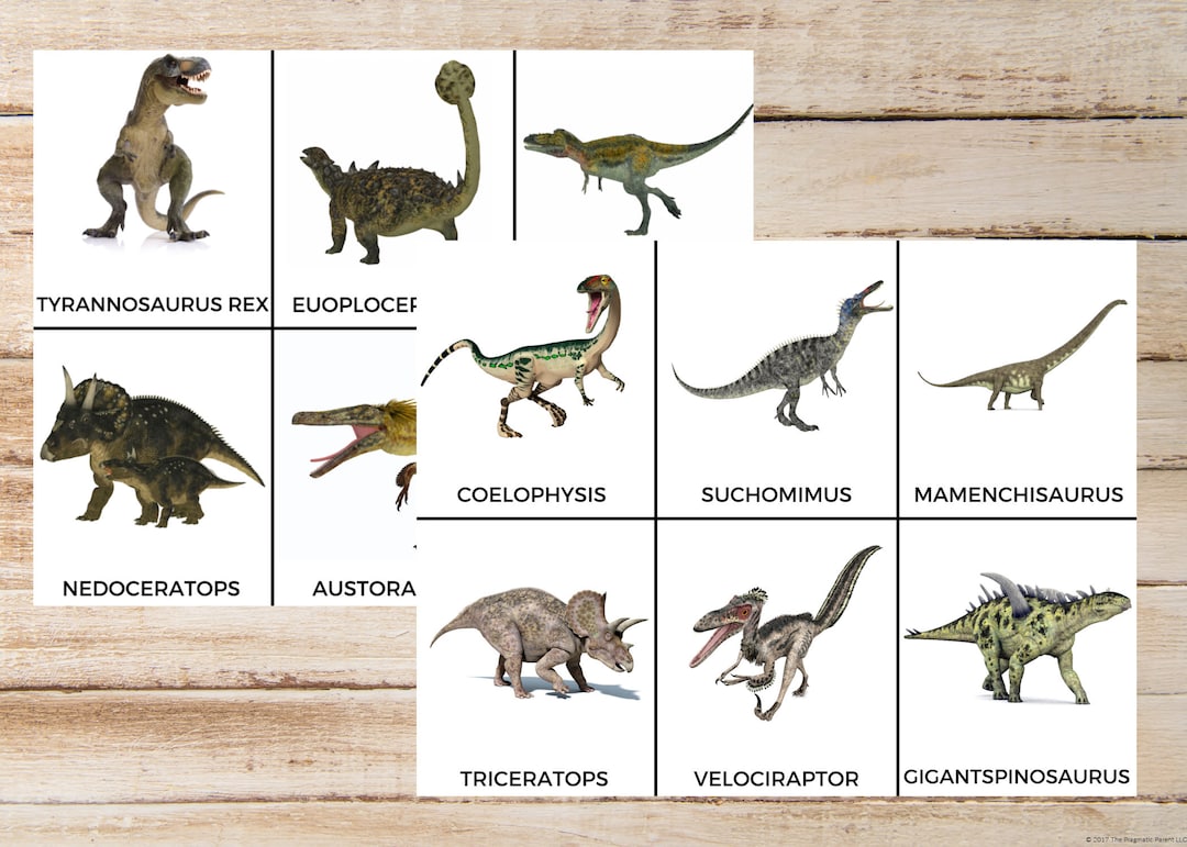 18 Dinosaur 3-part Montessori Cards, Animal Cards for Kids, Animal ...
