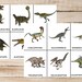 30 Bird 3-part Montessori Cards, Bird Cards for Kids, Bird Cards ...