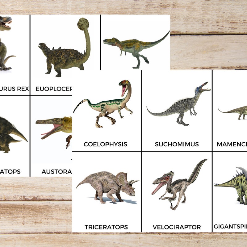 Montessori Dinosaur - Etsy