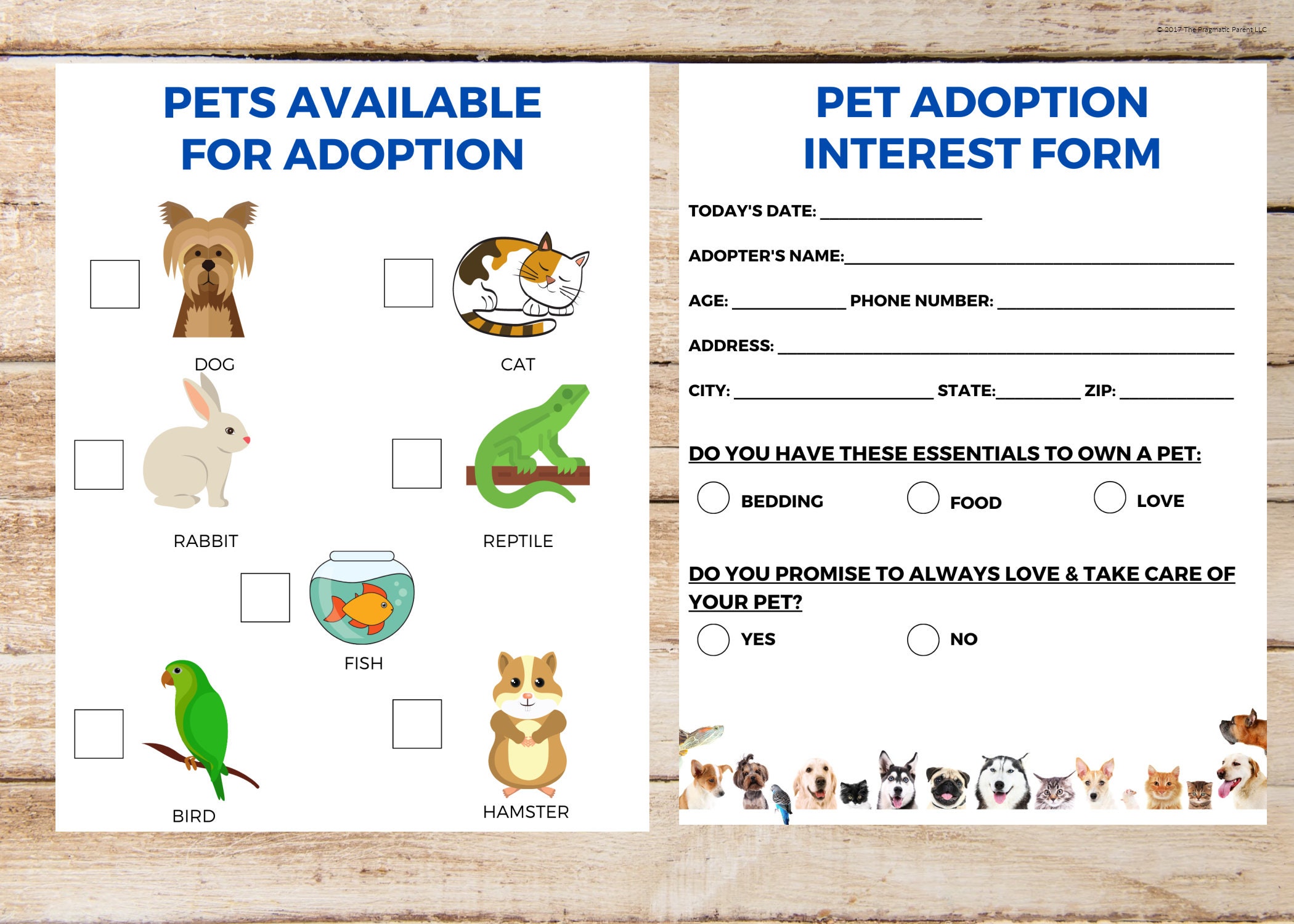 Pet Adoption Pretend Play Kit, Animal Adoption, Pretend Play, Kids ...
