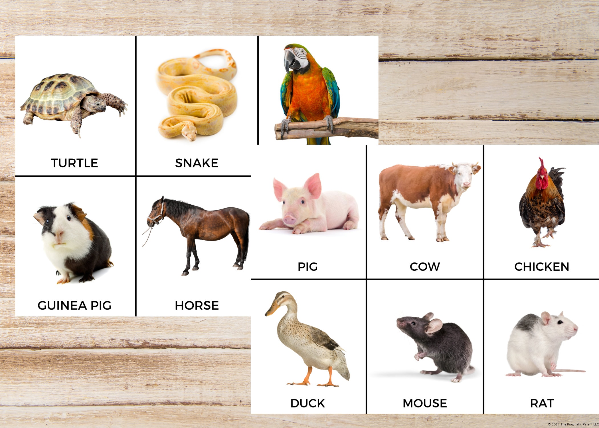 49 Animal 3-part Montessori Cards, Animal Cards for Kids, Animal Cards ...