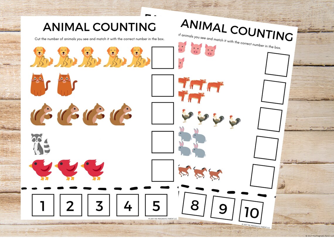 Numbers & Counting BUNDLE 45 Worksheets Count Worksheet - Etsy