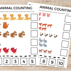 Numbers & Counting BUNDLE (45 Worksheets) - Count Worksheet, Addition ...