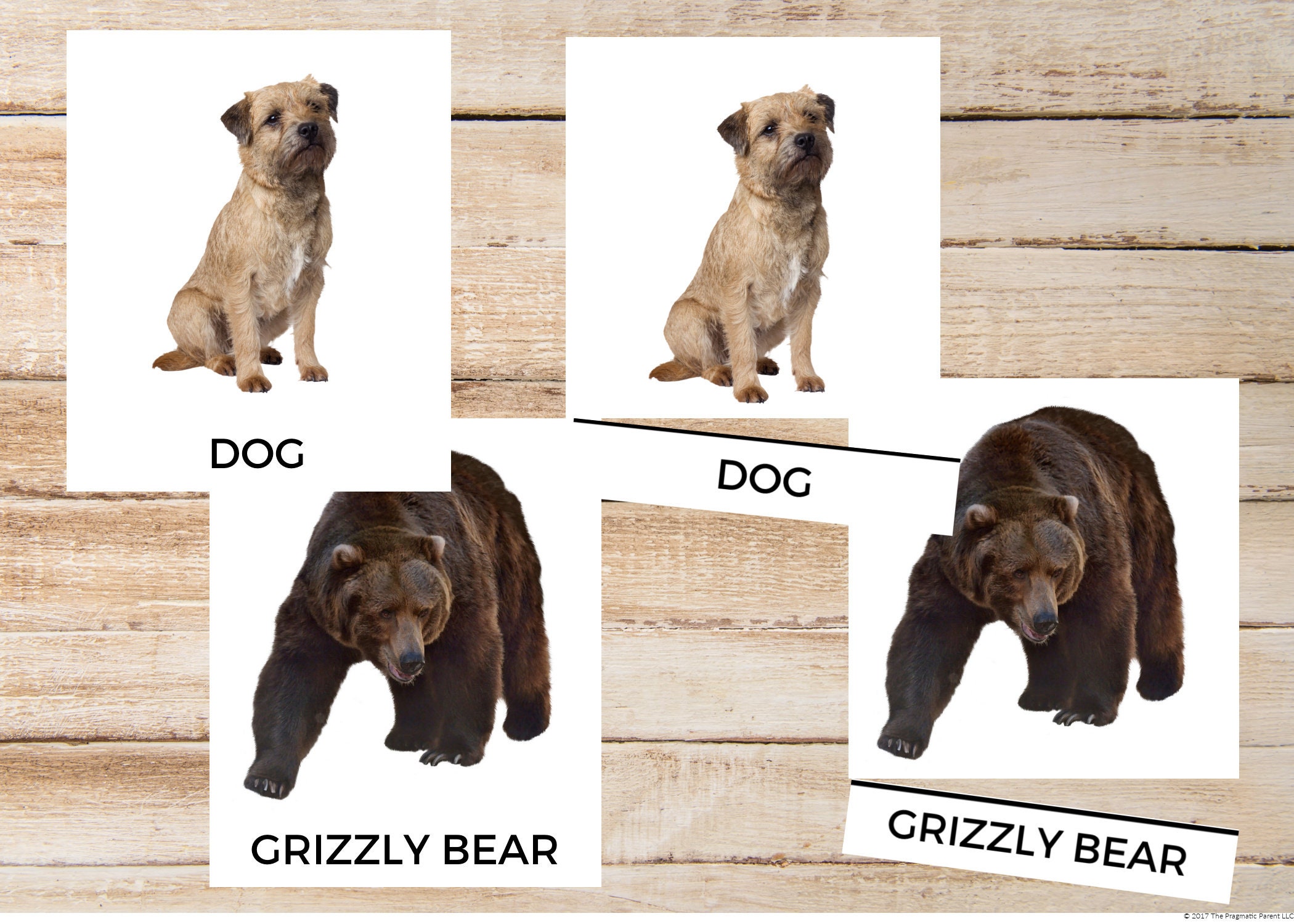 49 Animal 3-part Montessori Cards, Animal Cards for Kids, Animal Cards ...