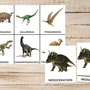 18 Dinosaur 3-part Montessori Cards, Animal Cards for Kids, Animal ...