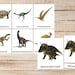 18 Dinosaur 3-part Montessori Cards, Animal Cards for Kids, Animal ...