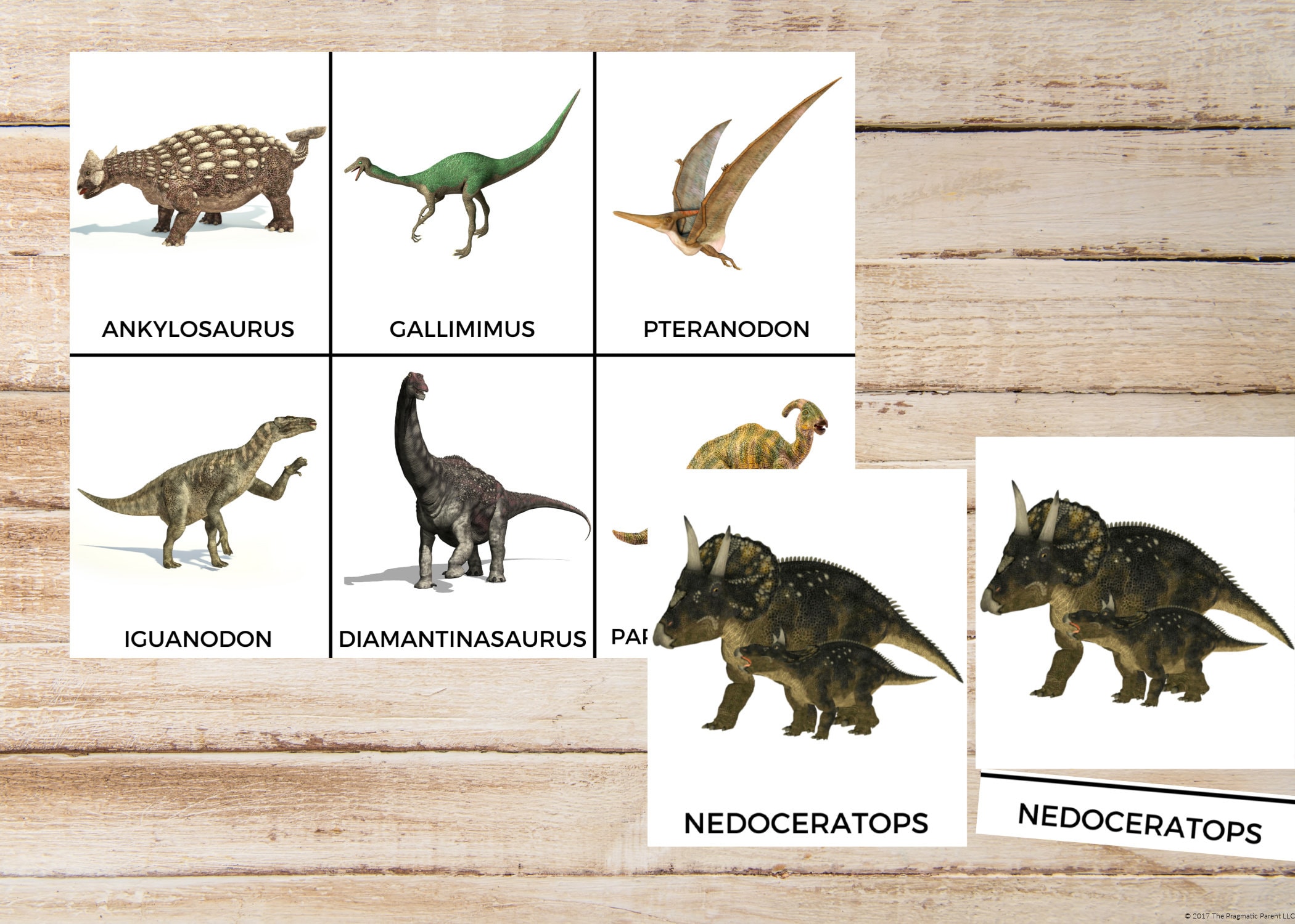 18 Dinosaur 3-part Montessori Cards, Animal Cards for Kids, Animal ...