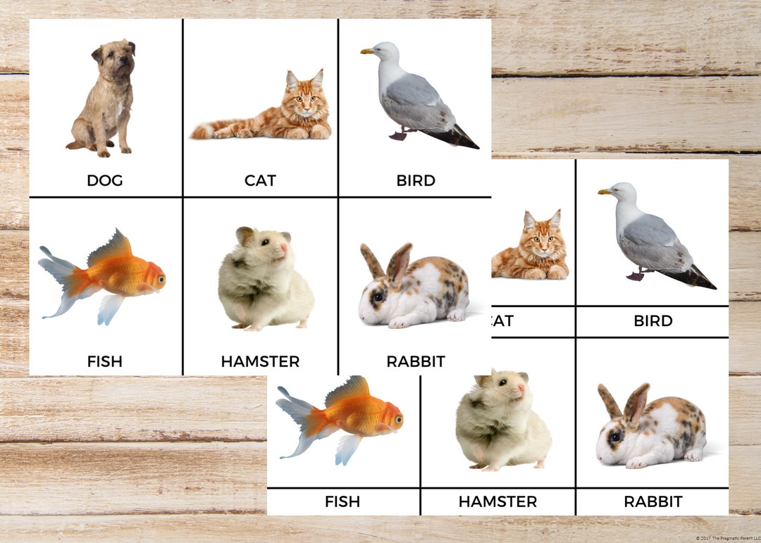 49 Animal 3-part Montessori Cards, Animal Cards for Kids, Animal Cards ...