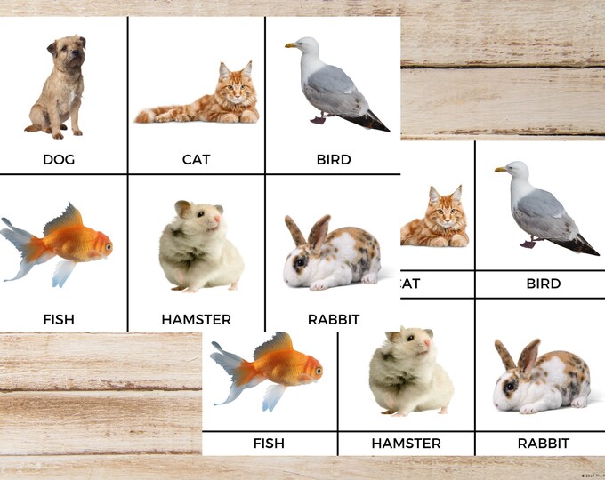 Editable Safari Animals Flashcards for Kids, Montessori Animal Name ...