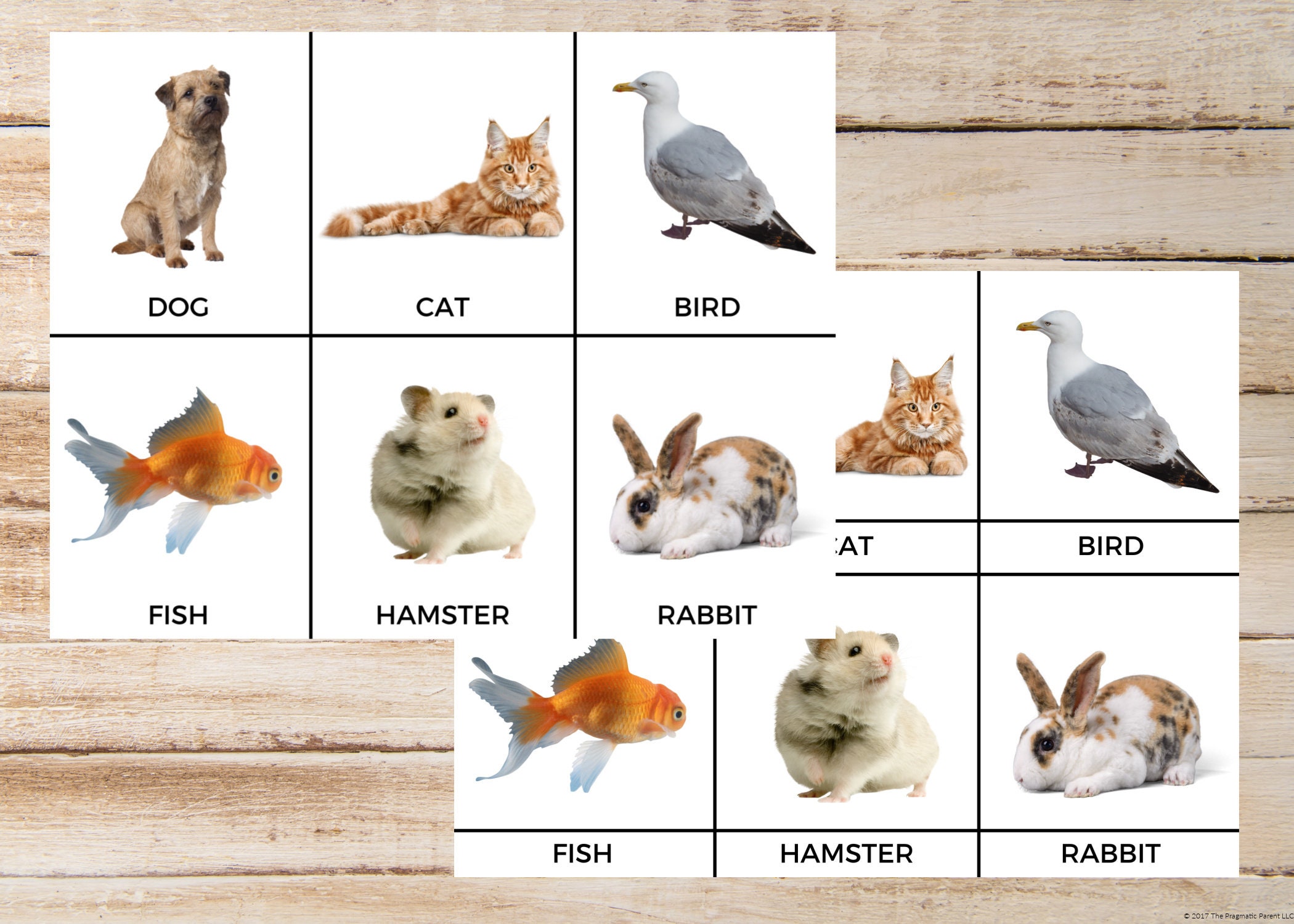 49 Animal 3-part Montessori Cards, Animal Cards for Kids, Animal Cards ...