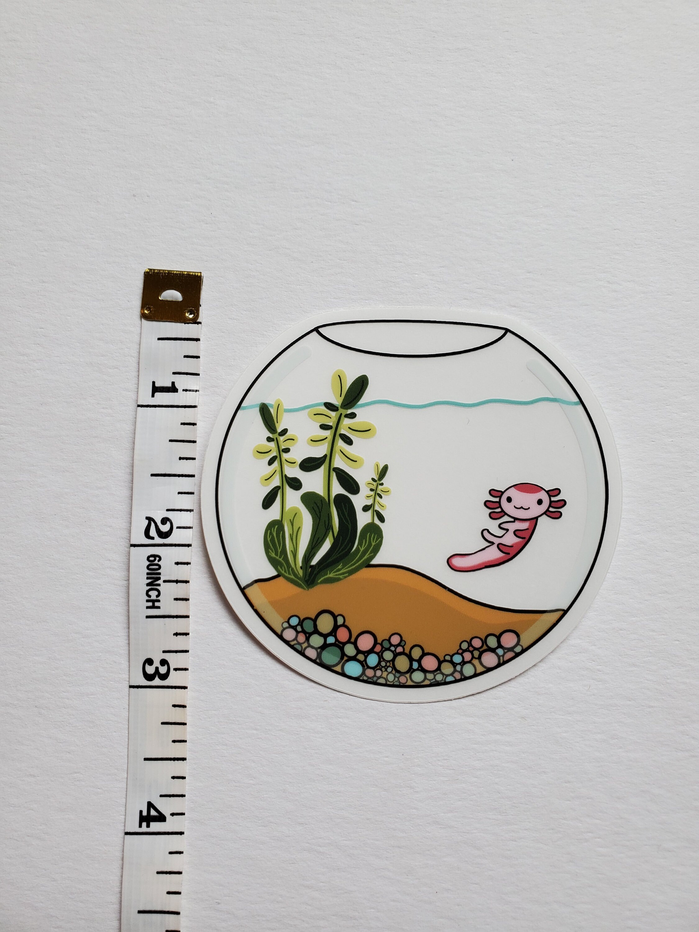 Axolotl Vinyl Sticker Amphibian Sticker Aquarium Stickers | Etsy