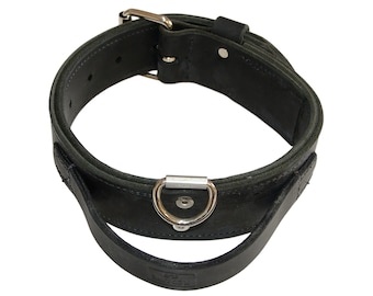 Dog Collar With Handle | Etsy