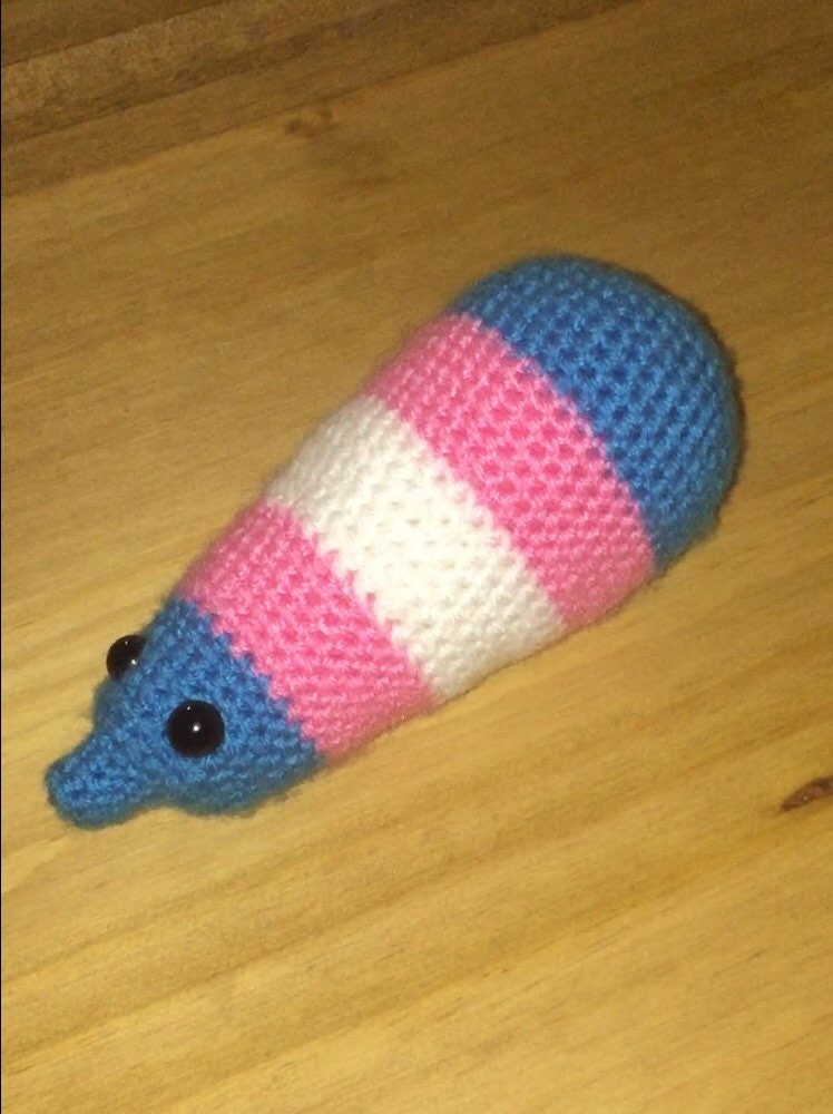 Trans Flag Snarfle - Etsy Sweden