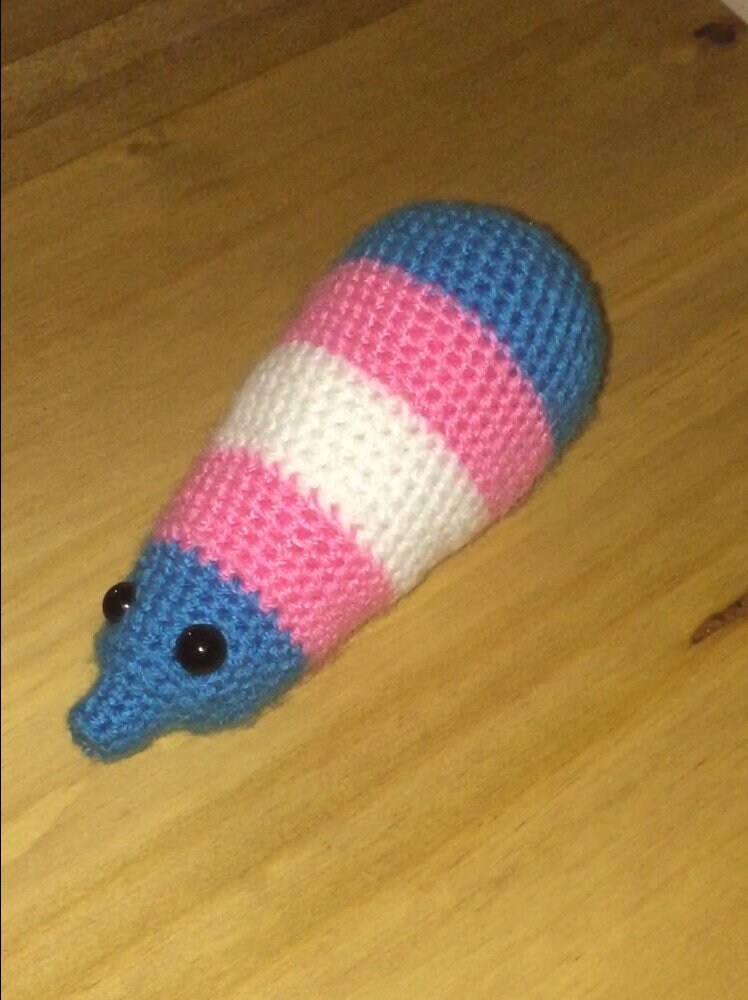 Trans Flag Snarfle - Etsy Sweden