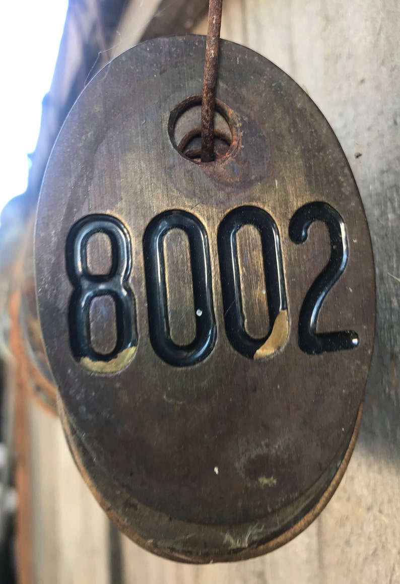 Vintage Brass Cow Tag - Etsy