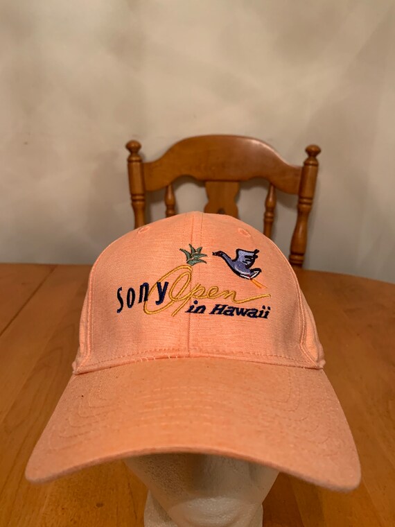 Vintage Sony Trucker Snapback hat 1990s 80s R1 - Gem