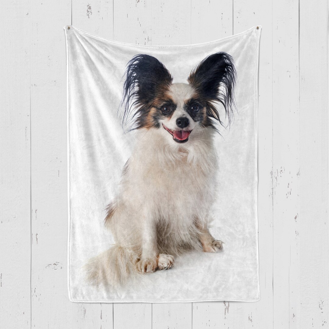 Papillon Blanket, Papillon Throw, Papillon Lover Gift, Gift Ideas - Etsy