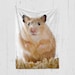 Hamster Blanket, Hamster Lover Gift, Gift Ideas - Etsy Australia