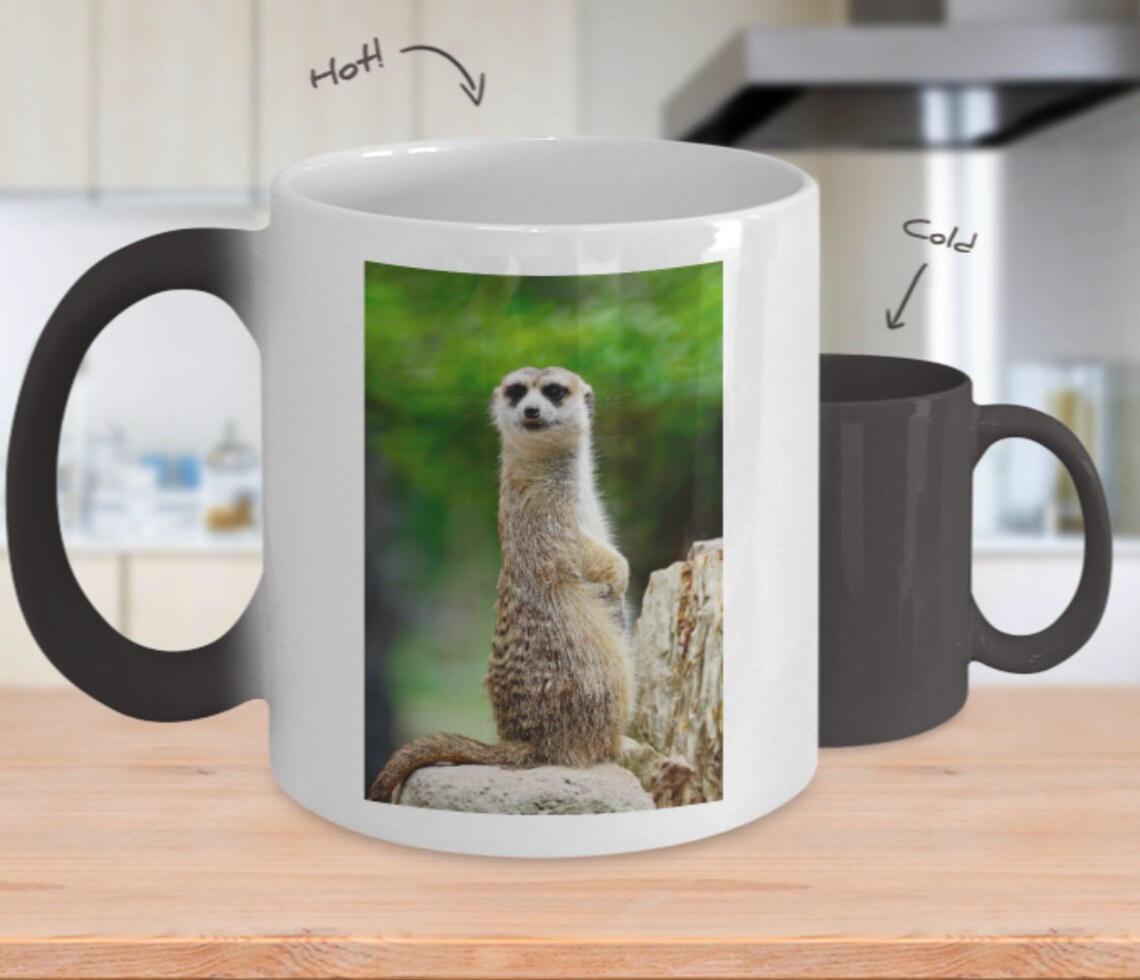 Meerkat Color Changing Mug, Meerkat Color Changing Cup, Meerkat Lover ...