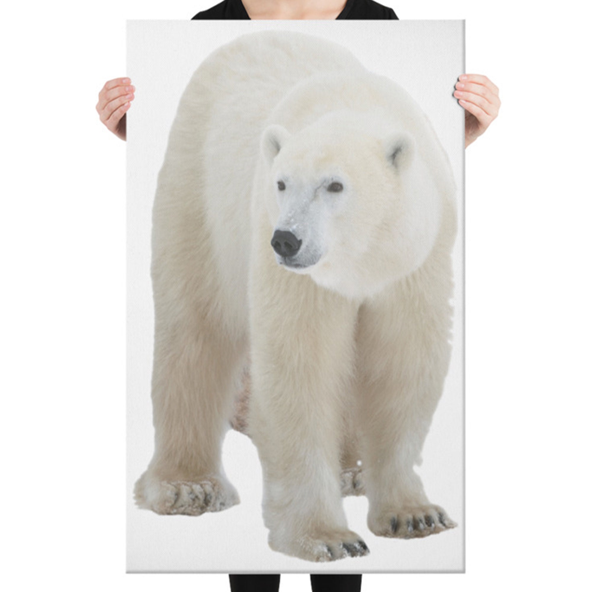 Polar Bear Canvas, Polar Bear Wall Art, Gift for Polar Bear Lover ...