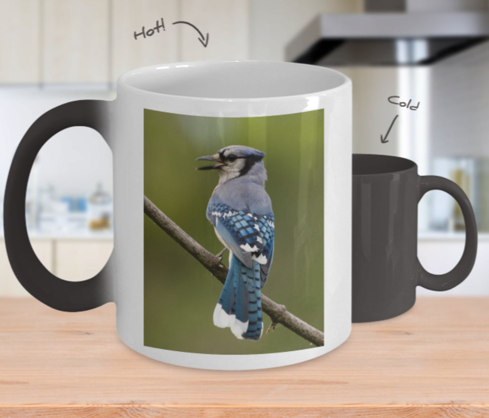 Blue Jay Color Changing Mug, Blue Jay Color Changing Cup, Blue Jay ...