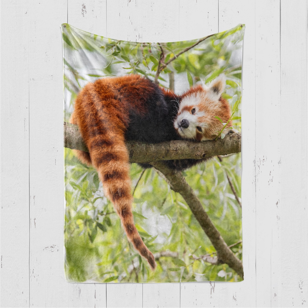 Red Panda Blanket, Red Panda Throw, Red Panda Lover Gift, Gift Ideas - Etsy