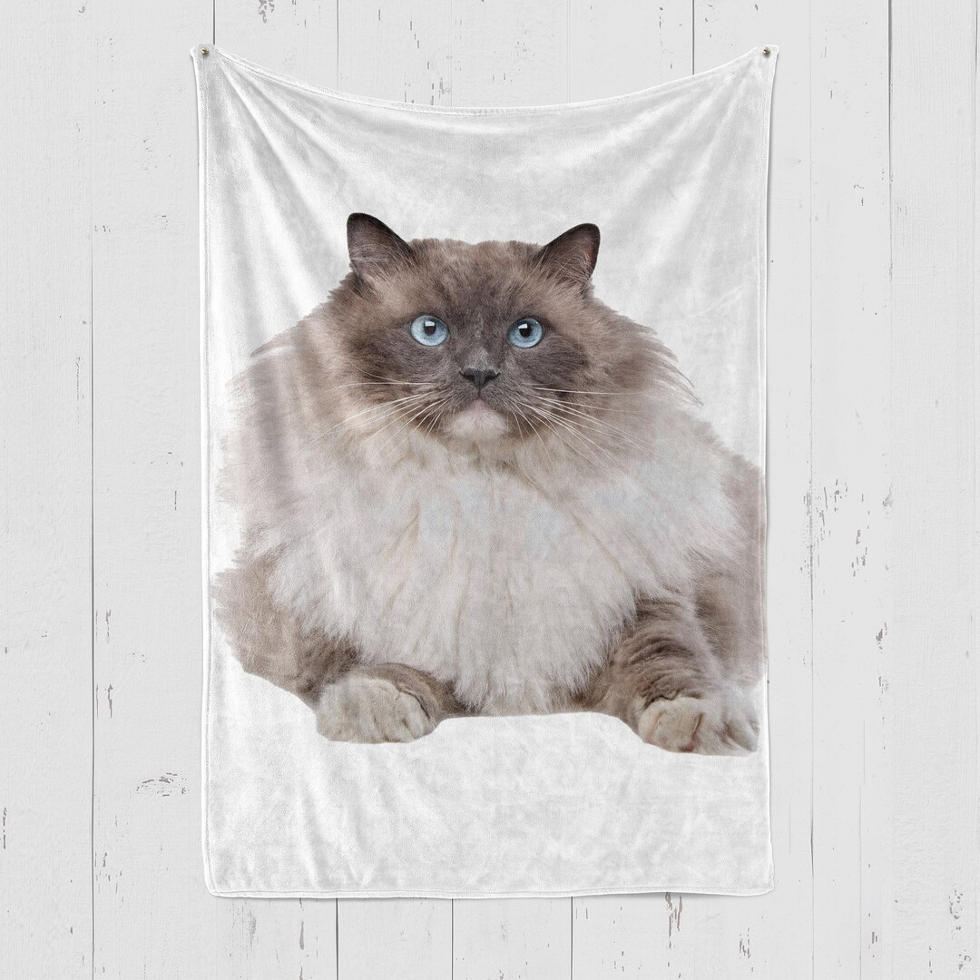 Ragdoll Blanket, Ragdoll Throw, Ragdoll Fleece 1 - Etsy