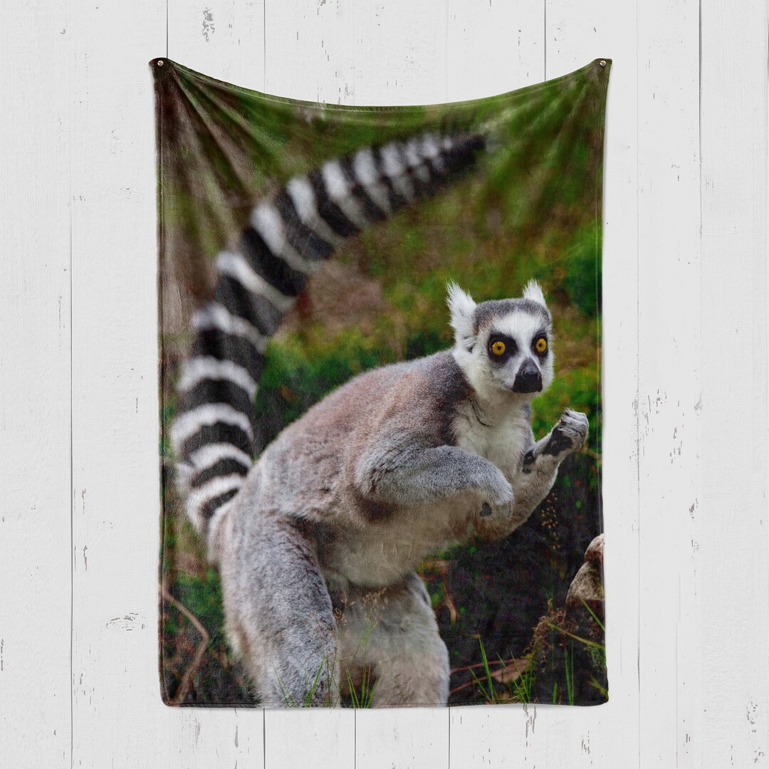 Lemur Blanket Lemur Throw Lemur Lover Gift Gift Ideas - Etsy Australia