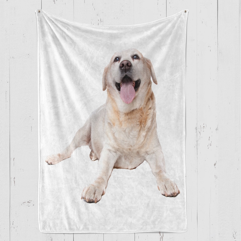 Labrador Retriever Blanket, Labrador Retriever Lover Gift, Labrador ...
