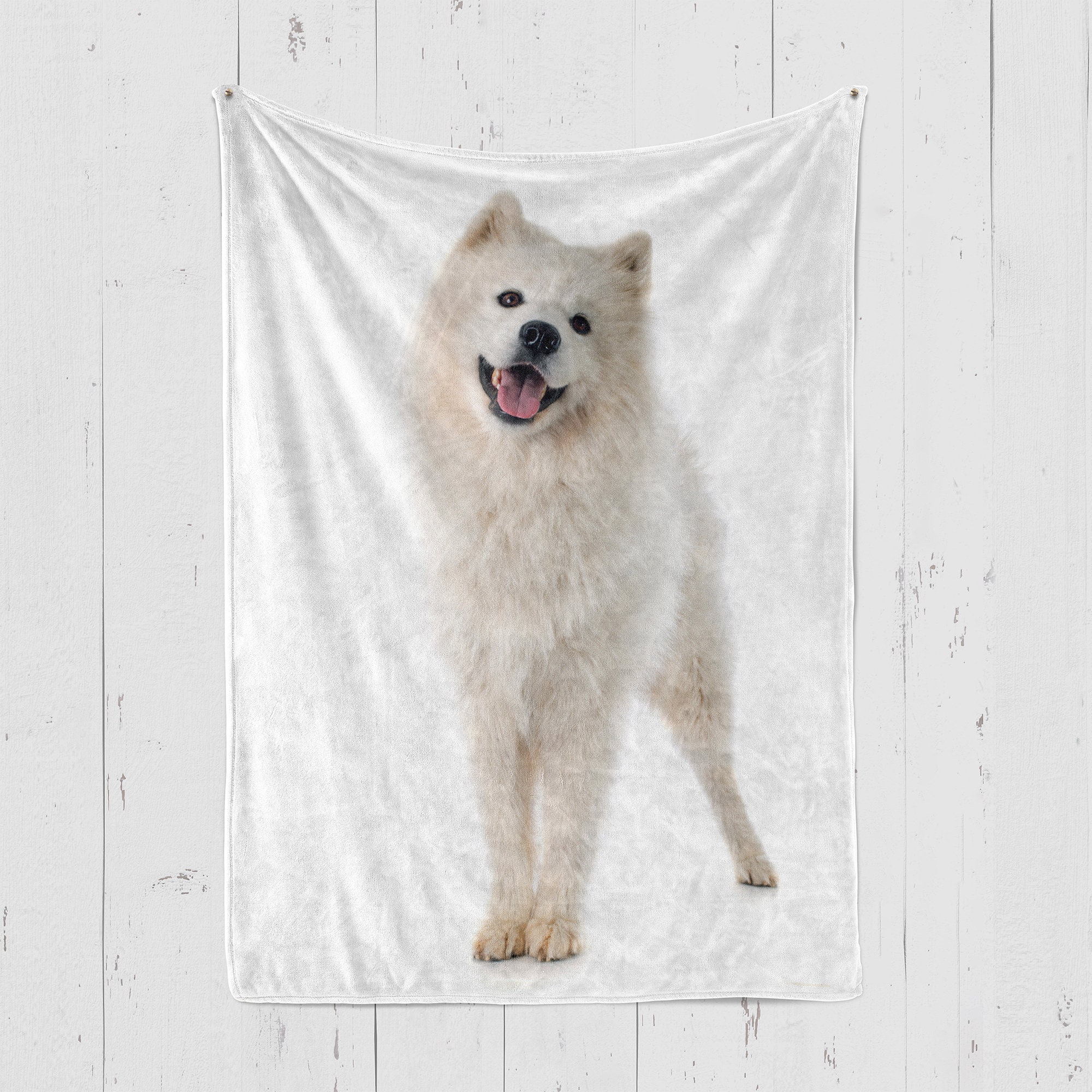 Samoyed Blanket, Samoyed Throw, Samoyed Lover Gift, Gift Ideas - Etsy