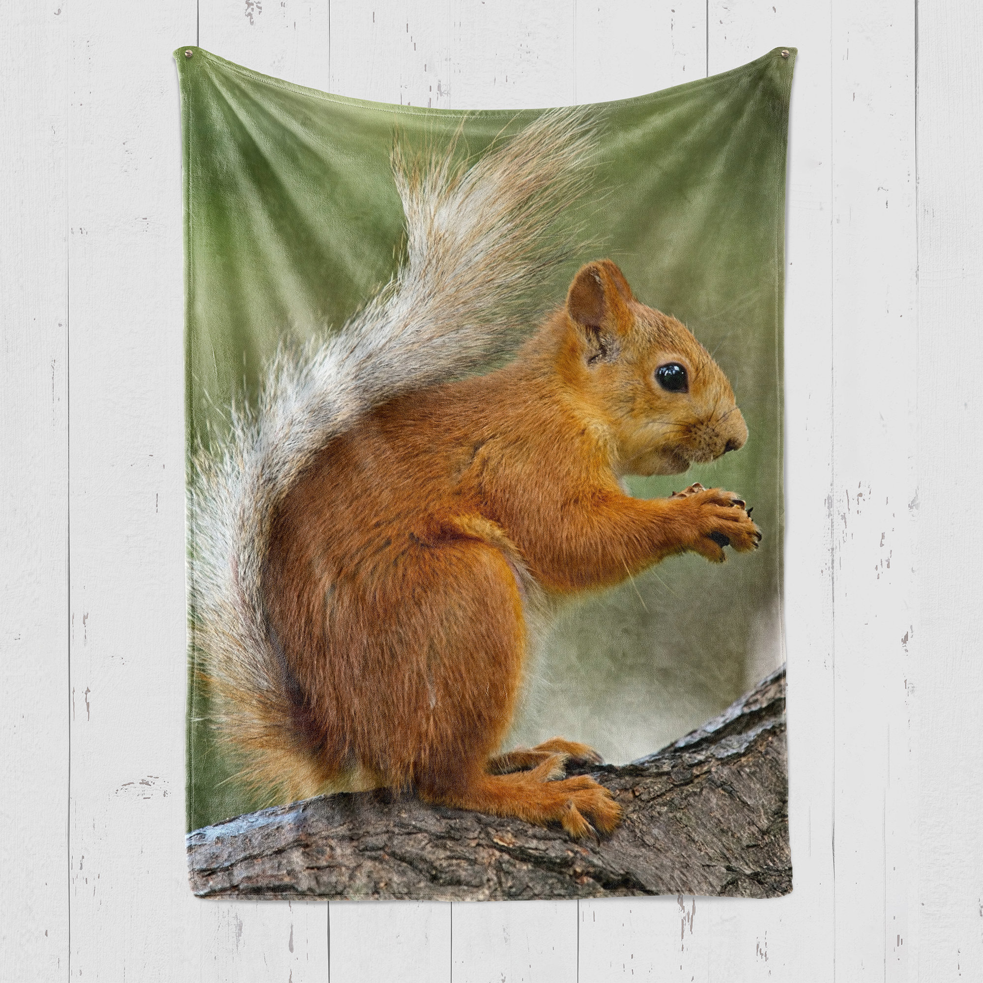 Squirrel Blanket Throw - Etsy