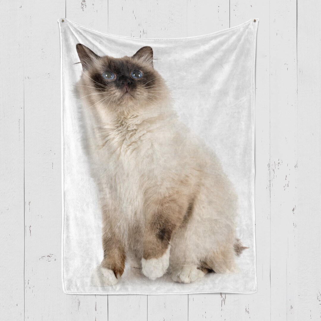 Ragdoll Blanket, Ragdoll Throw, Ragdoll Fleece - Etsy