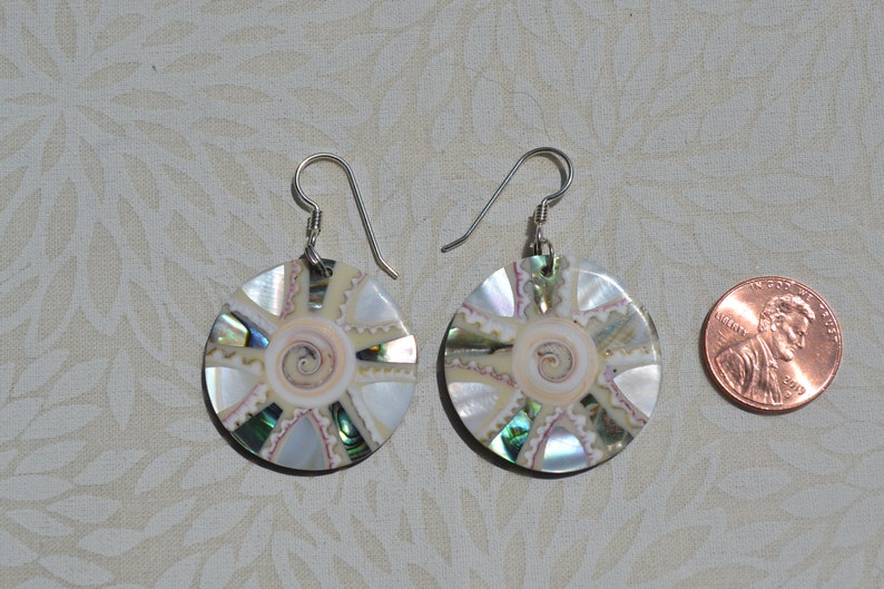 White Mother of Pearl Abalone Shiva Cone Shell | Etsy