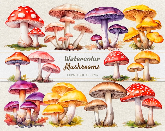 Watercolor Mushrooms Clipart Toadstool Clip Art PNG Instant Download ...