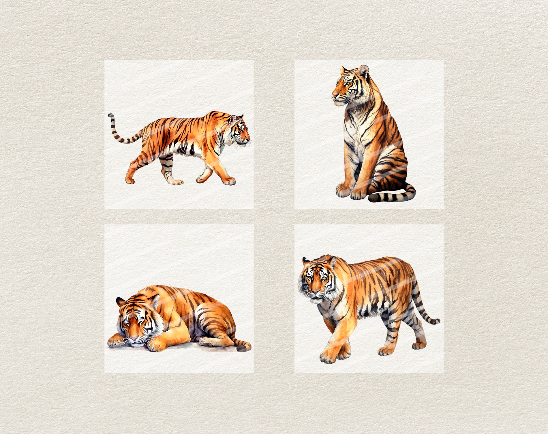 Watercolor Tiger Clipart - Digital Illustration Tigers - Tiger PNG ...
