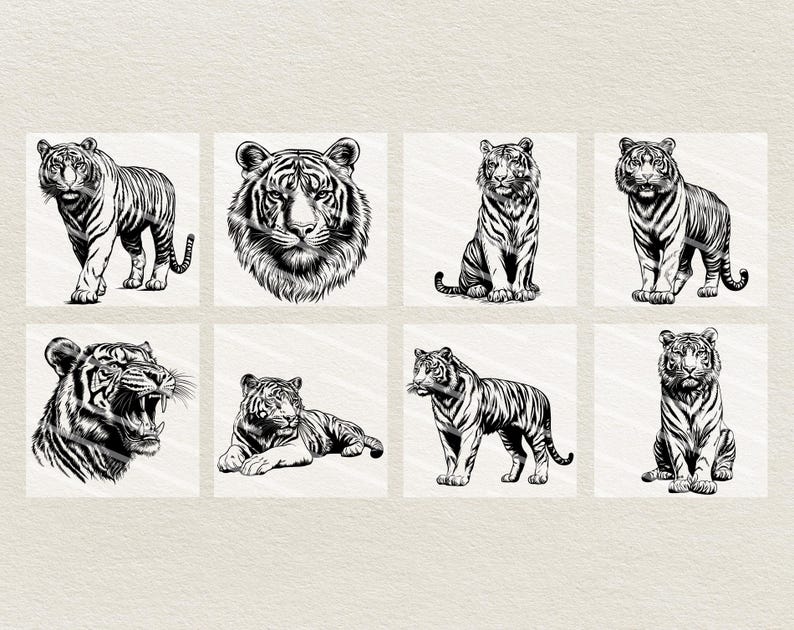 Vector Tiger Clipart - Line Art Digital Illustration - Tigers SVG PNG ...