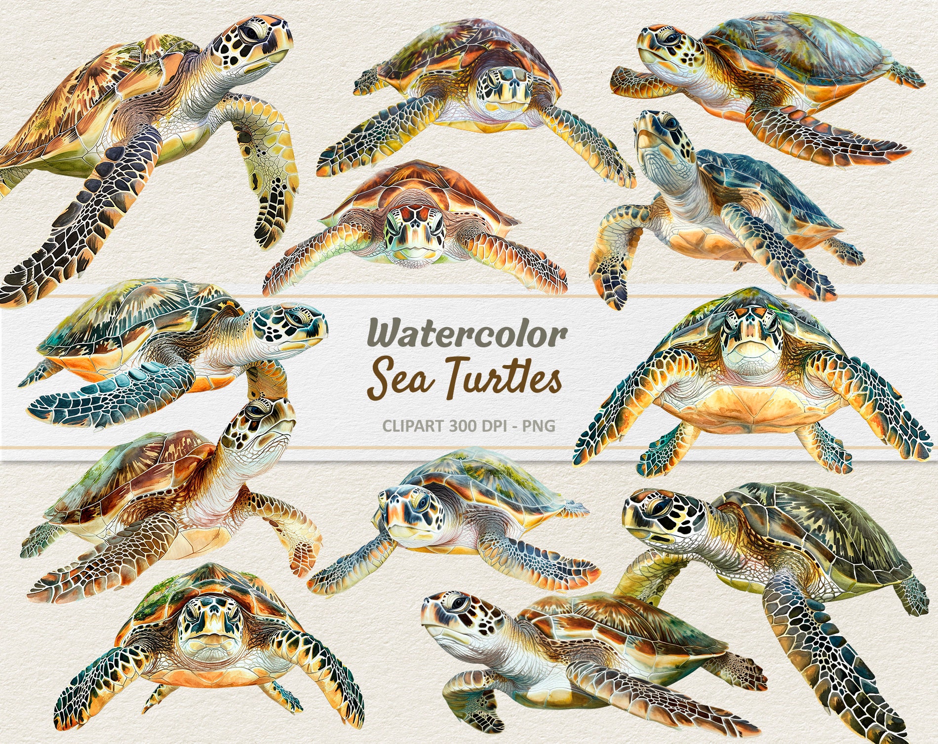 Watercolor Sea Turtle Clipart Digital Illustration Marine Turtles ...