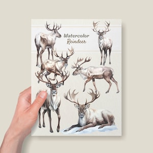 Watercolor Reindeer Clipart - Digital Illustration - Caribou Deer PNG ...