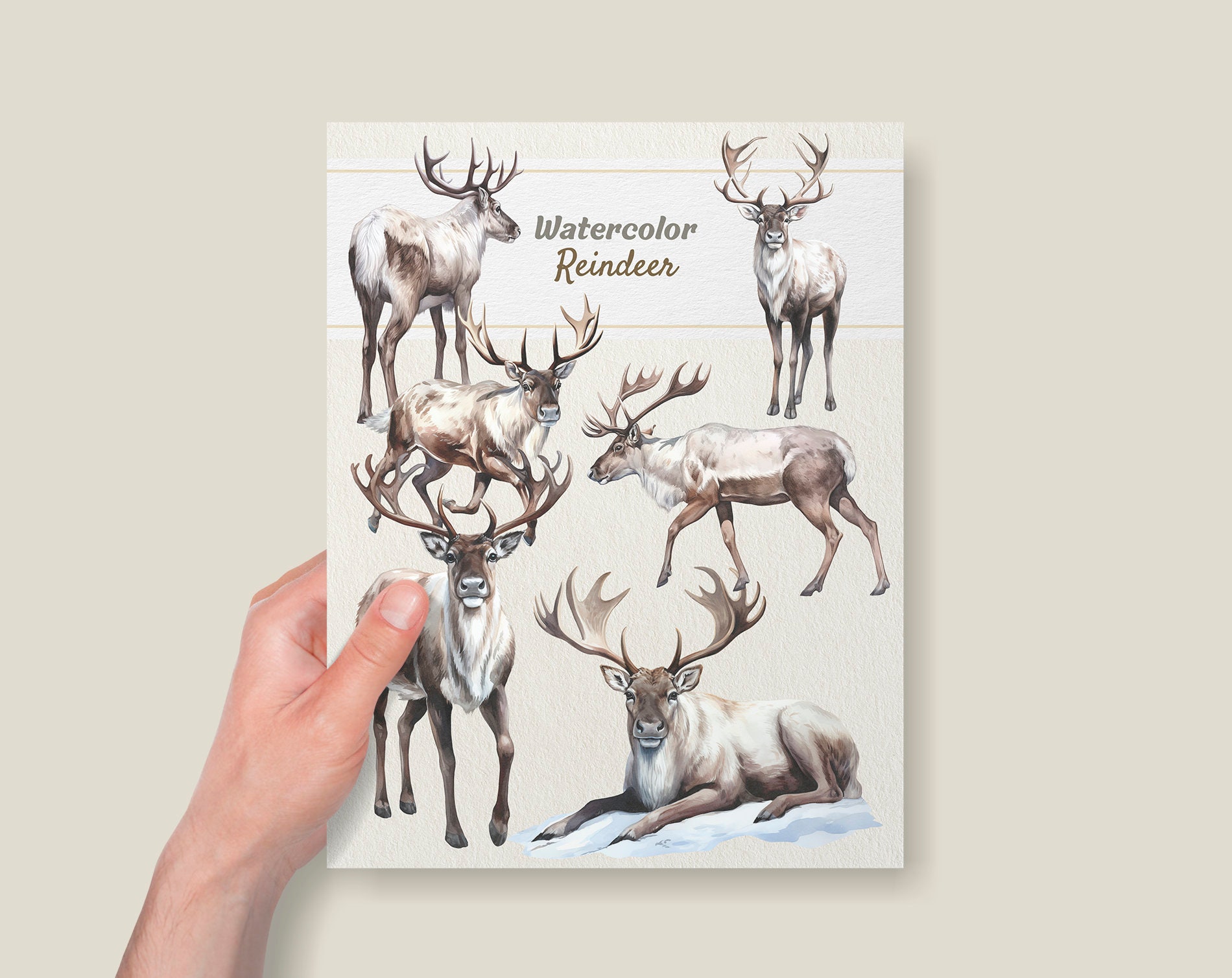 Watercolor Reindeer Clipart - Digital Illustration - Caribou Deer PNG ...