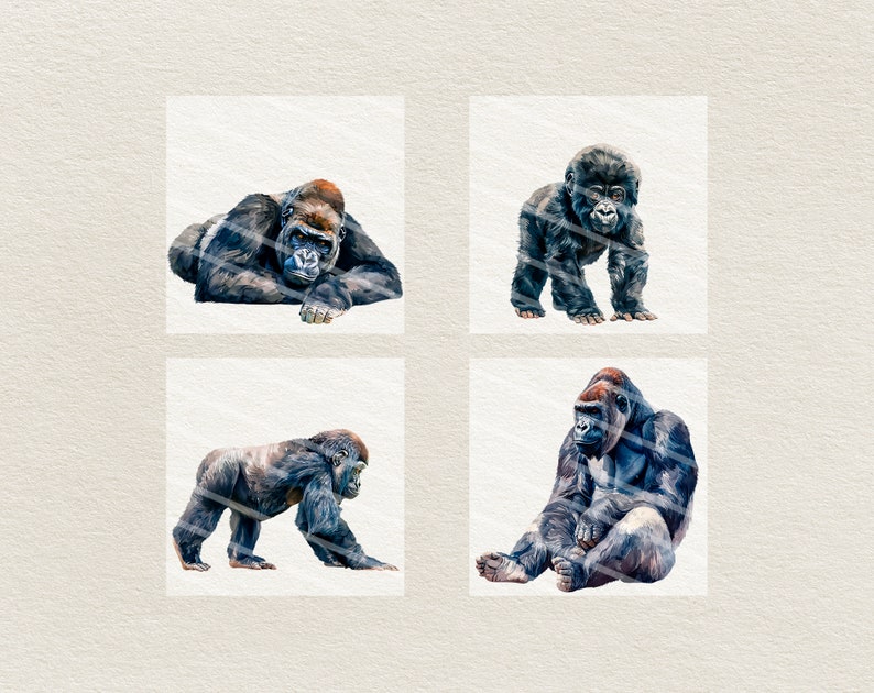 Watercolor Gorilla Clipart Digital Illustration Great Ape Silverback ...