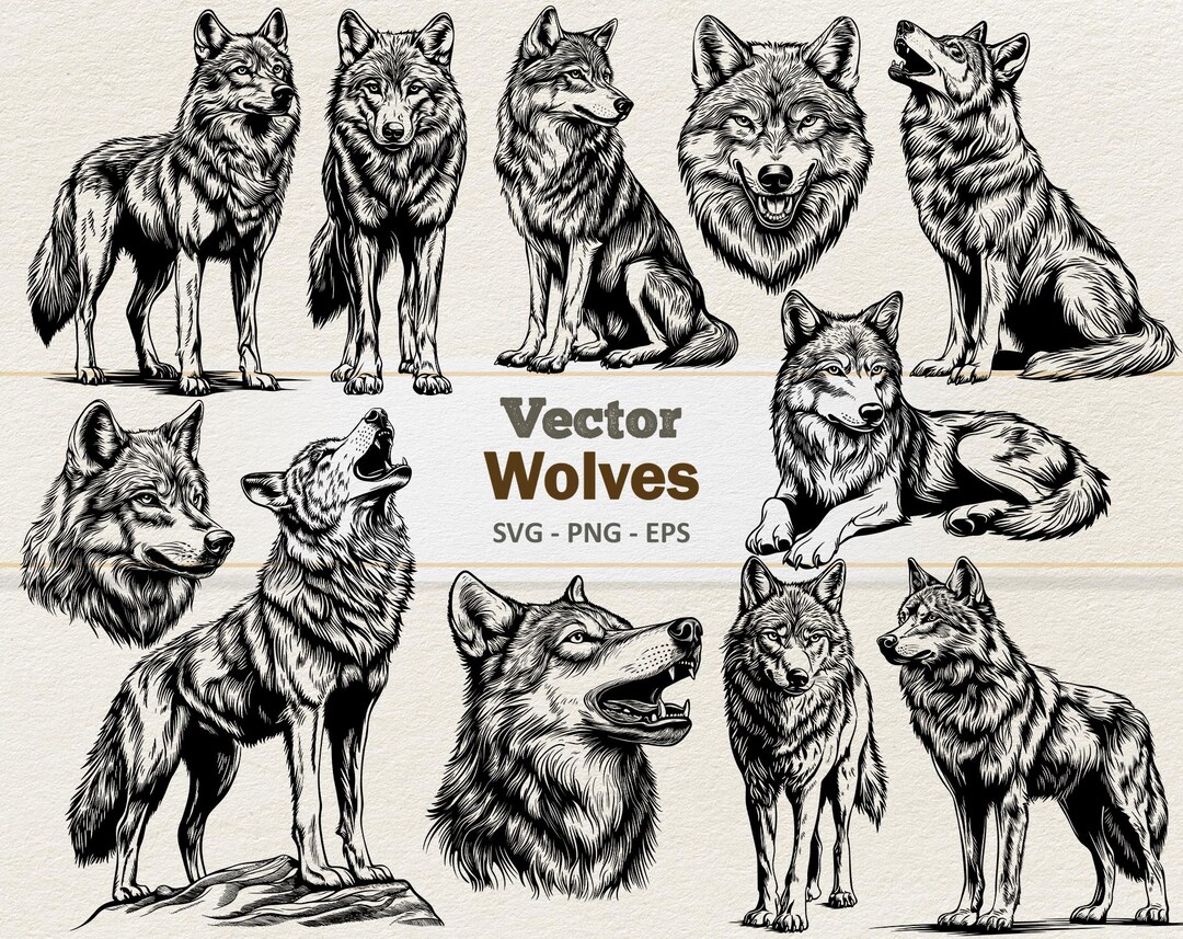 Vector Wolf Clipart - Line Art Digital Illustration Wolves - Wolf SVG ...