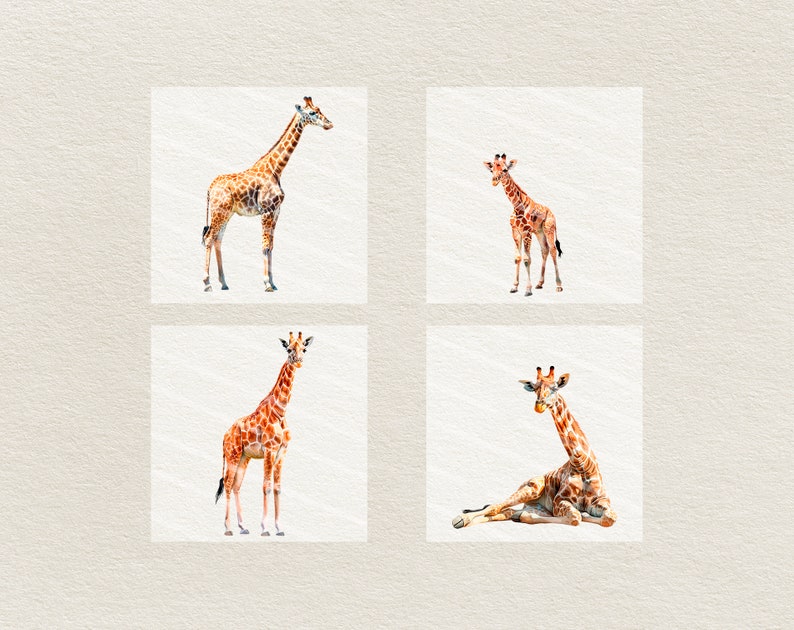 Watercolor Giraffe Clipart - Digital Illustration Family Giraffes - Zoo ...