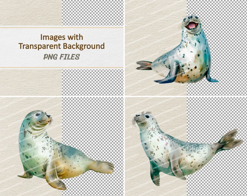 Aquarell Hafen Robbe Clipart - Digitale Illustration Seerobbe - Echte ...